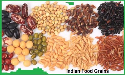 Know the Reasons Why Indian Food Grains are Popular and in High Demand ...